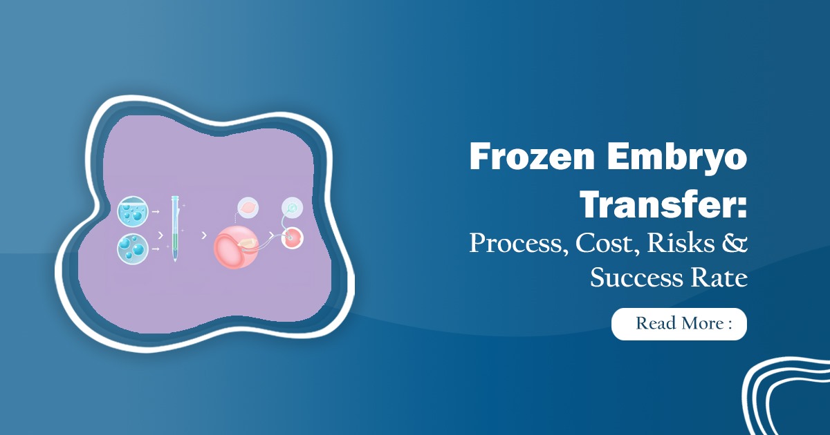 What Is Frozen Embryo Transfer? Step-by-Step Process