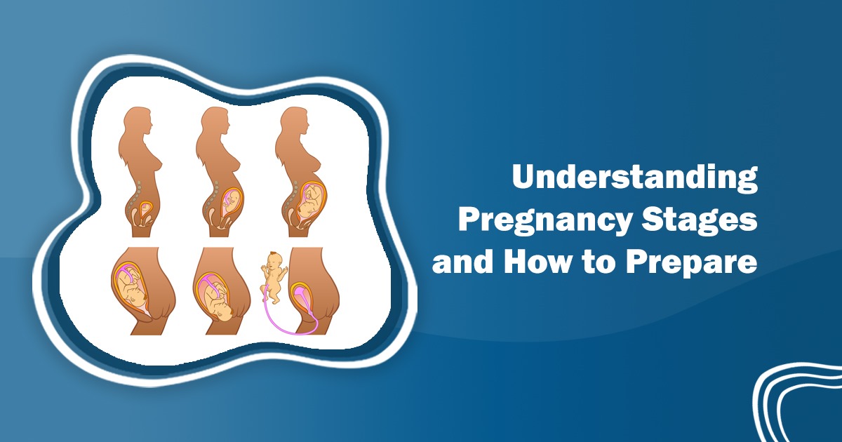 Pregnancy Stages Explained – First, Second & Third Trimester